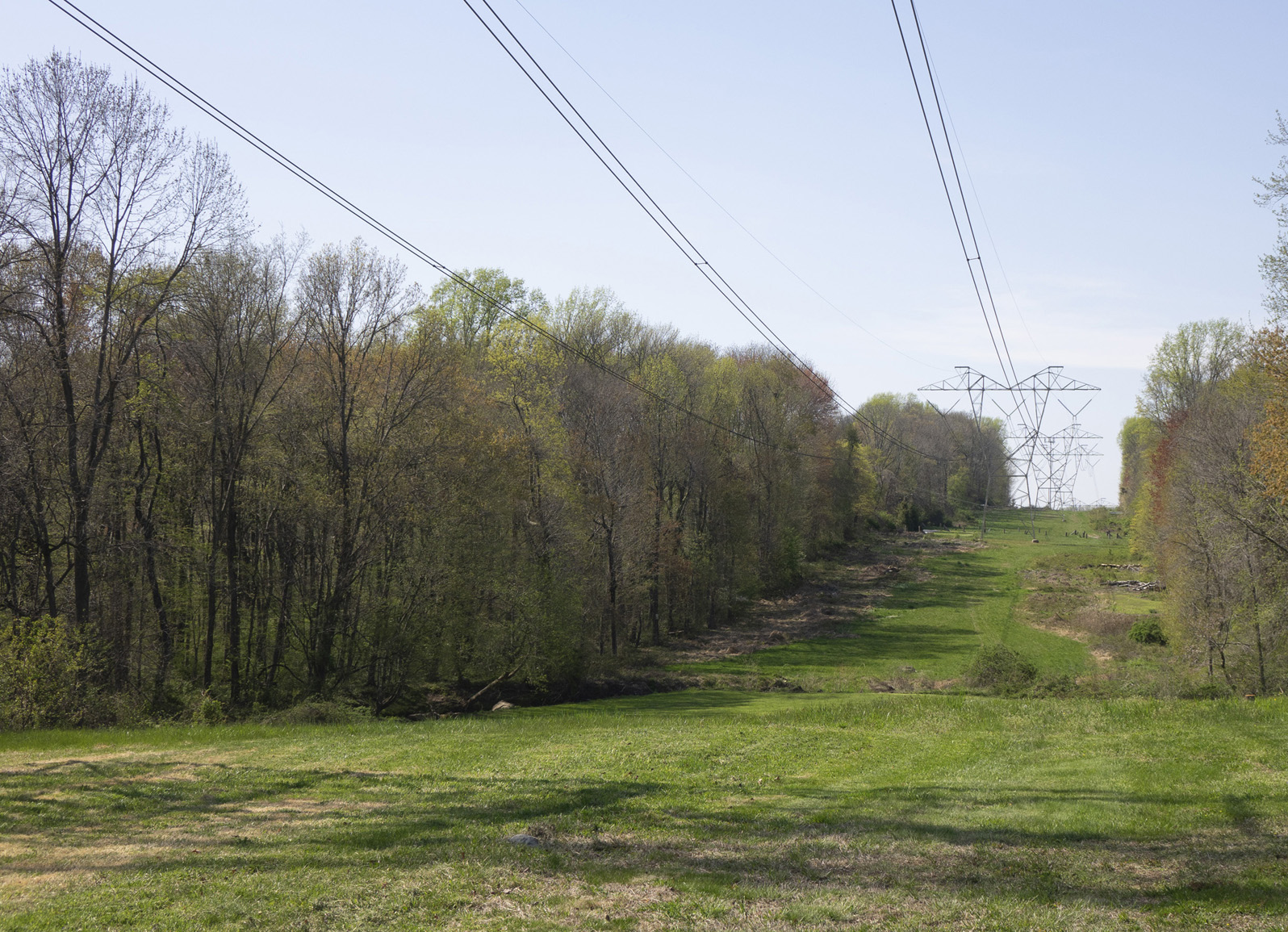 29b land behind the house DSC02737 – JVS Building Services